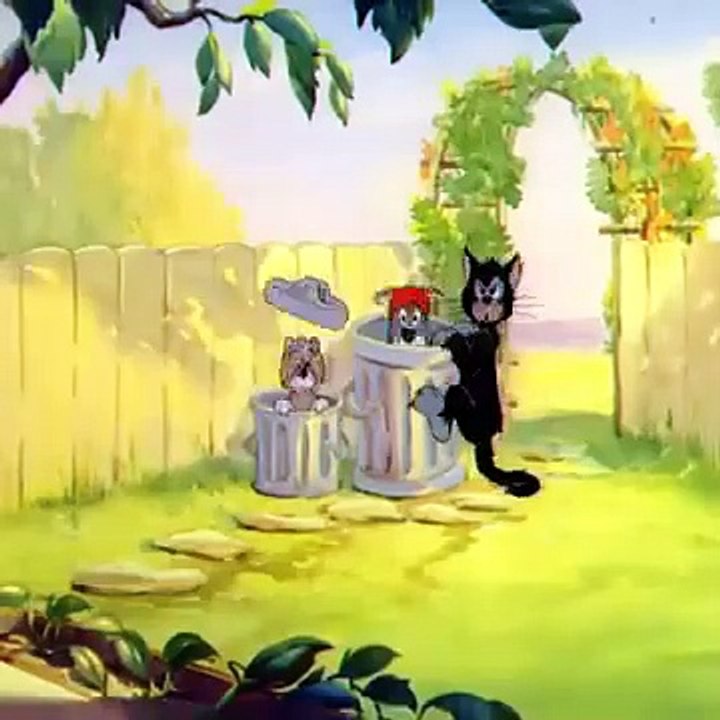 TOM AND JERRY | Tom & Jerry Funny Cartoon Clips | Cartoons | - video ...