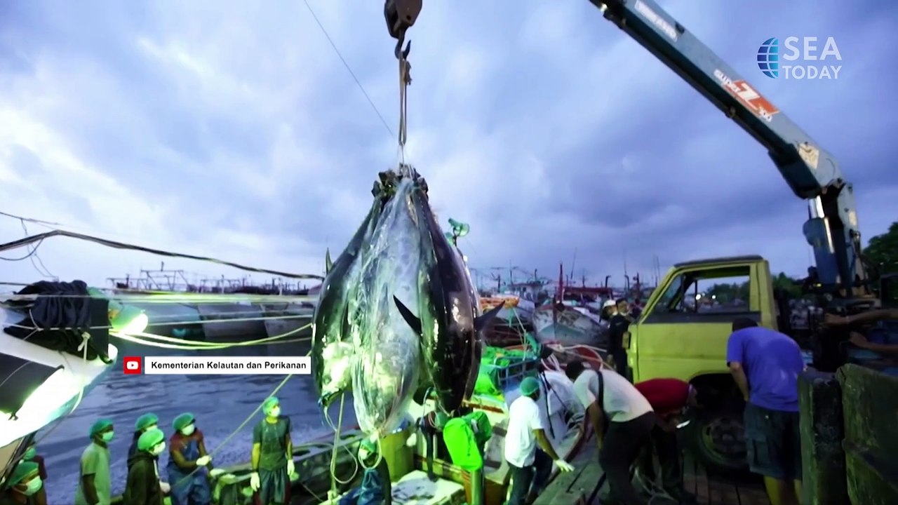 Talkshow with Thilma Komaling & Robert Tjoanda: "World Tuna Day ...