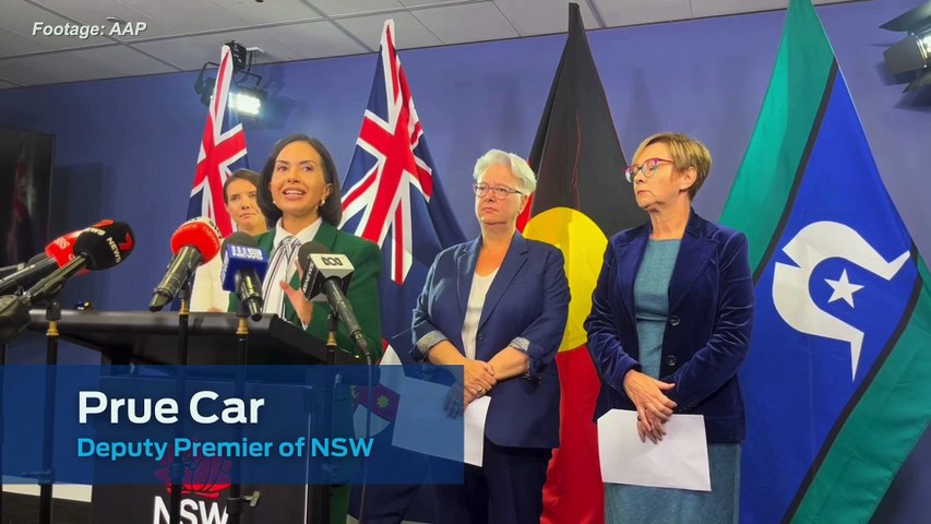 NSW government unveils emergency gendered violence package | The ...