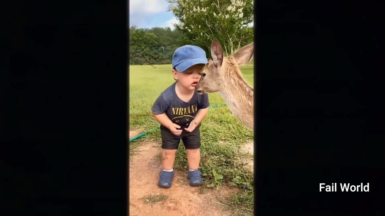 Try not to Laugh Challenge ।। This Year Best Fail Moments Caught on ...