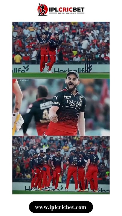 Best IPL Match Prediction Site – IPL CricBet - video Dailymotion