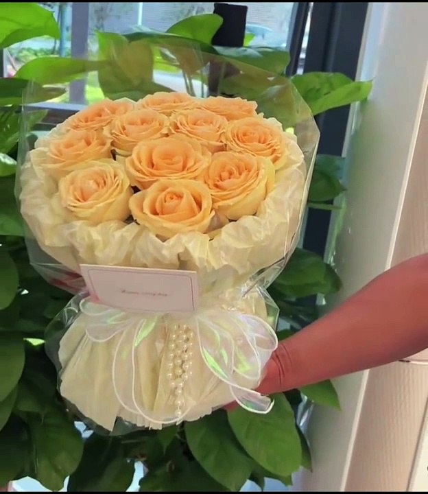 flower─影片 Dailymotion