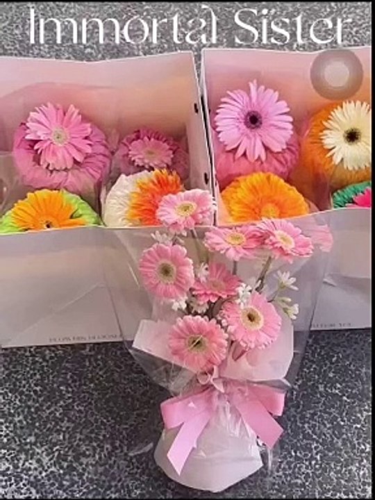 flower─影片 Dailymotion