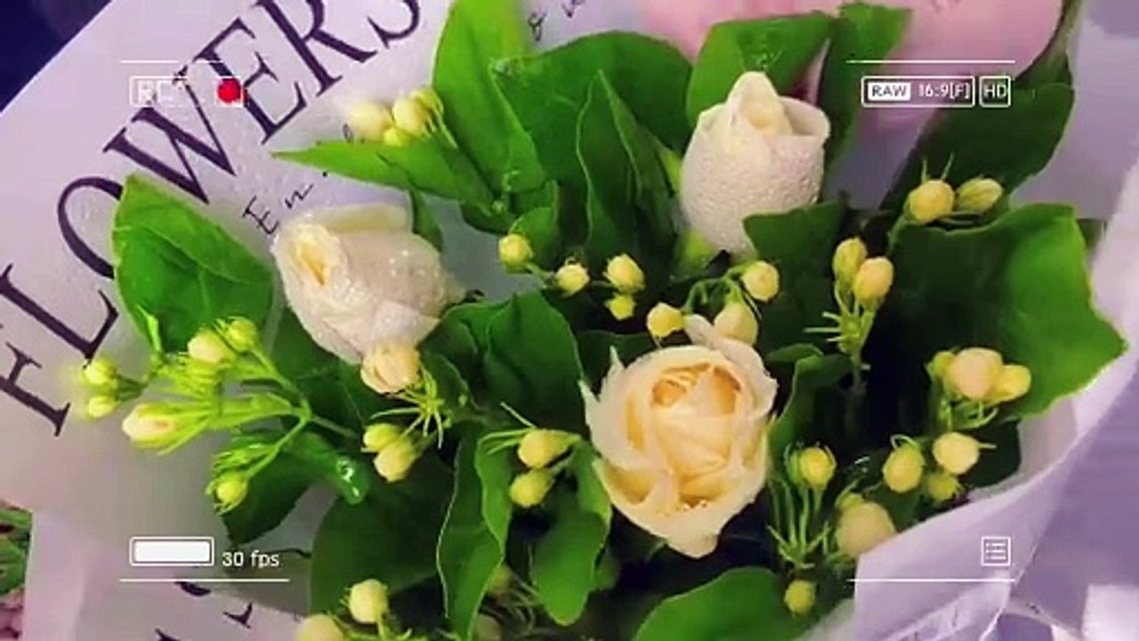 flower─影片 Dailymotion