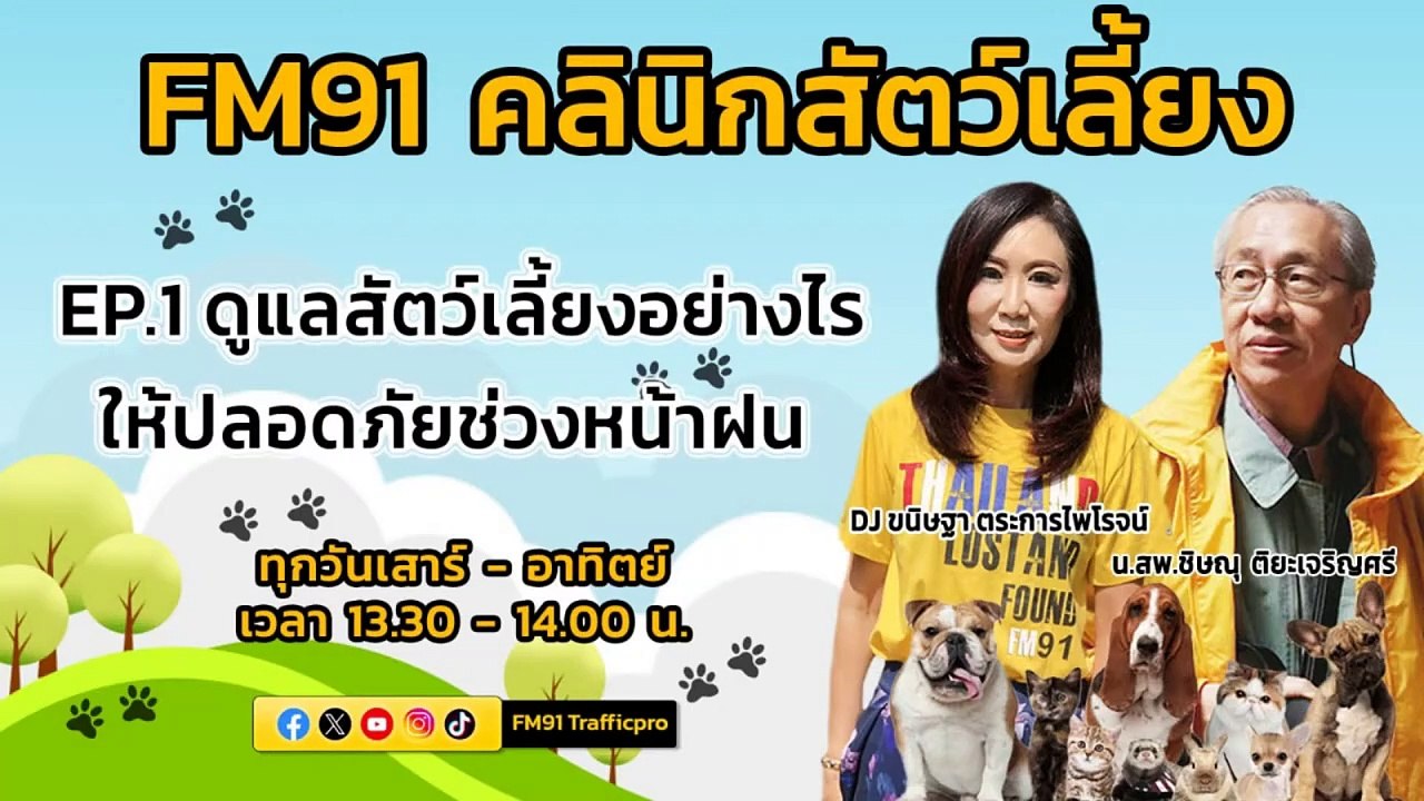 ดูแลสัตว์เลี้ยงอย่างไร ให้ปลอดภัยช่วงหน้าฝน EP.1 : FM91 คลินิกสัตว์เลี้ยง : 11 พฤษภาคม 2567 ...