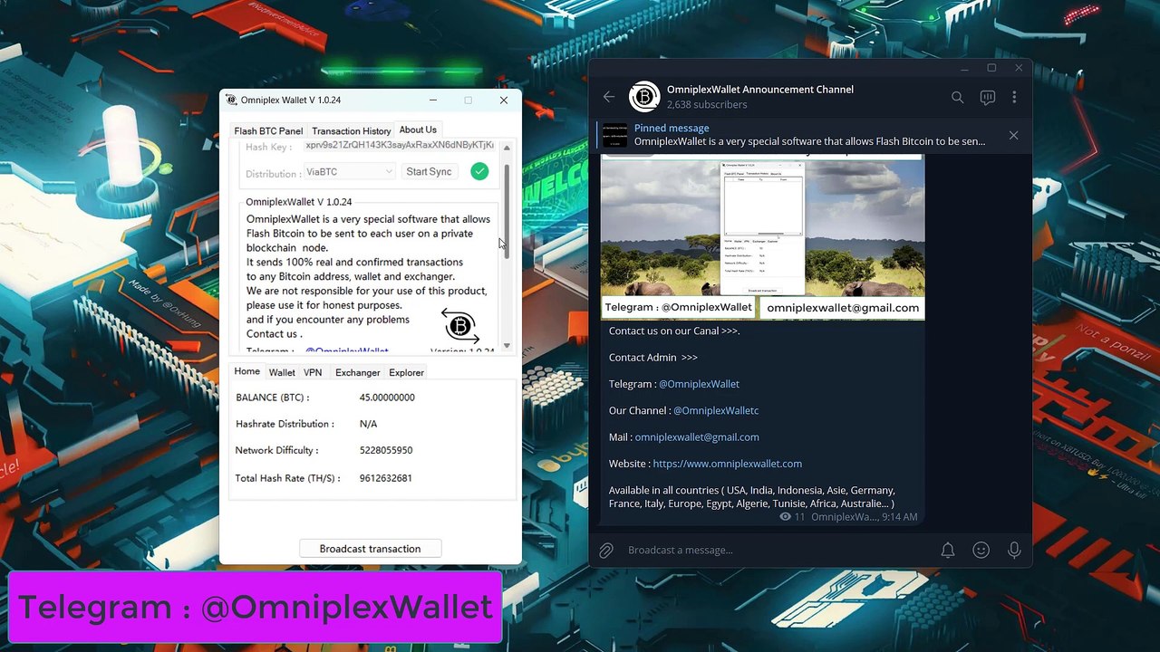 Flash Bitcoin (BTC) Transaction By OmniplexWallet - video Dailymotion