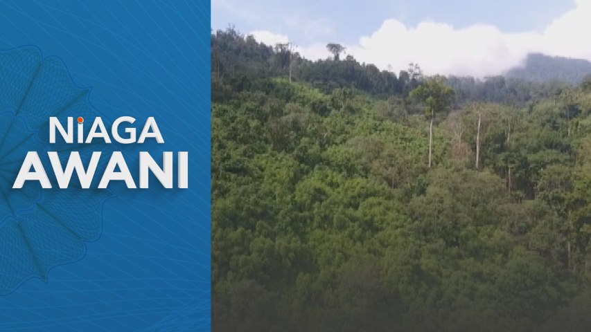 Niaga AWANI: Jepun penyumbang utama eksport kayu sarawak dengan nilai ...