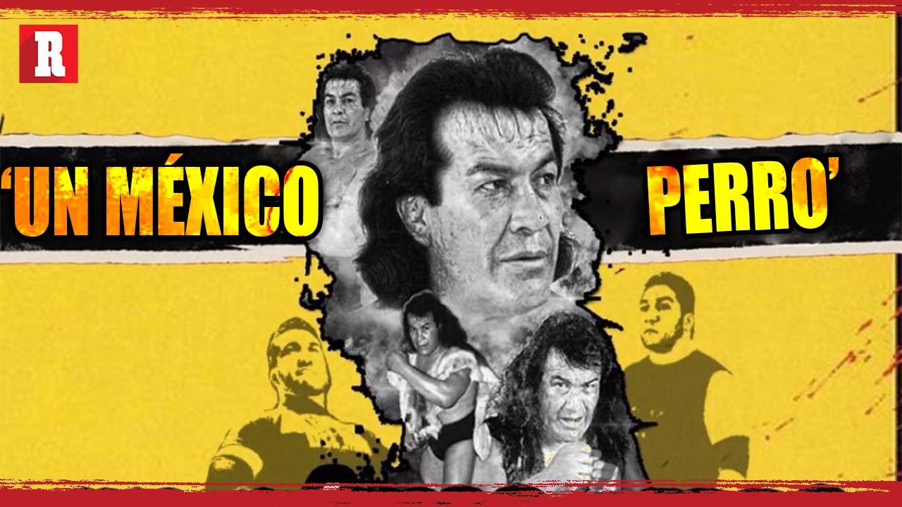 UN MÉXICO PERRO: El documental del Perro Aguayo, el héroe verdadero de ...
