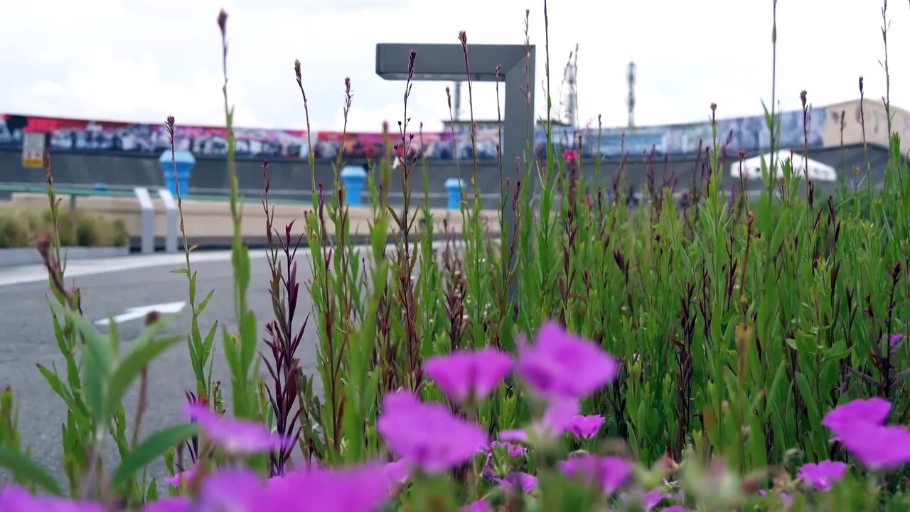 Lisa Offside: "La mia missione? Cancellare Lo stereotipo per cui la ...