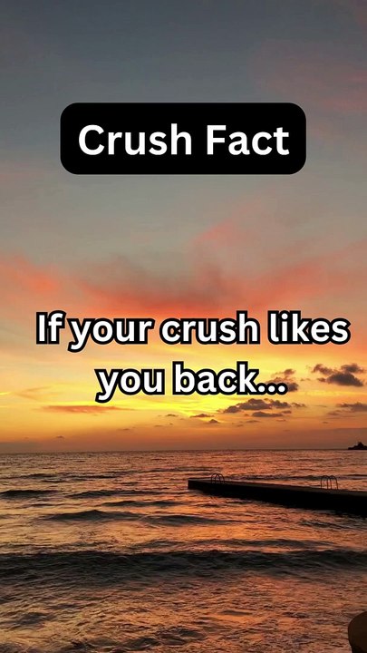 Crush Fact | Unveiling the Mystery: Fascinating Facts About Crushes ...