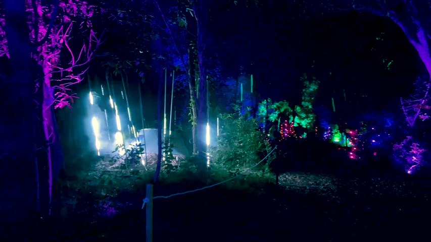 Enchanted Forest at Blackbutt│May 24, 2024│Illawarra Mercury ...