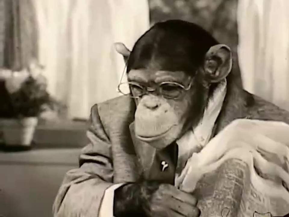 1960s Post cereal TV commercial - chimps having breakfast 2 - video ...