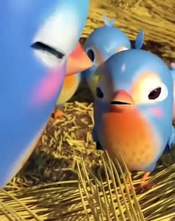 Five Little Birds CoComelon Kids Songs & Nursery Rhymes - video Dailymotion