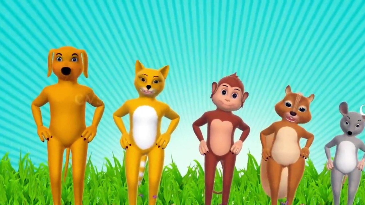 Animal Finger Family - Finger Family Song - 3D Animation Nursery Rhymes ...