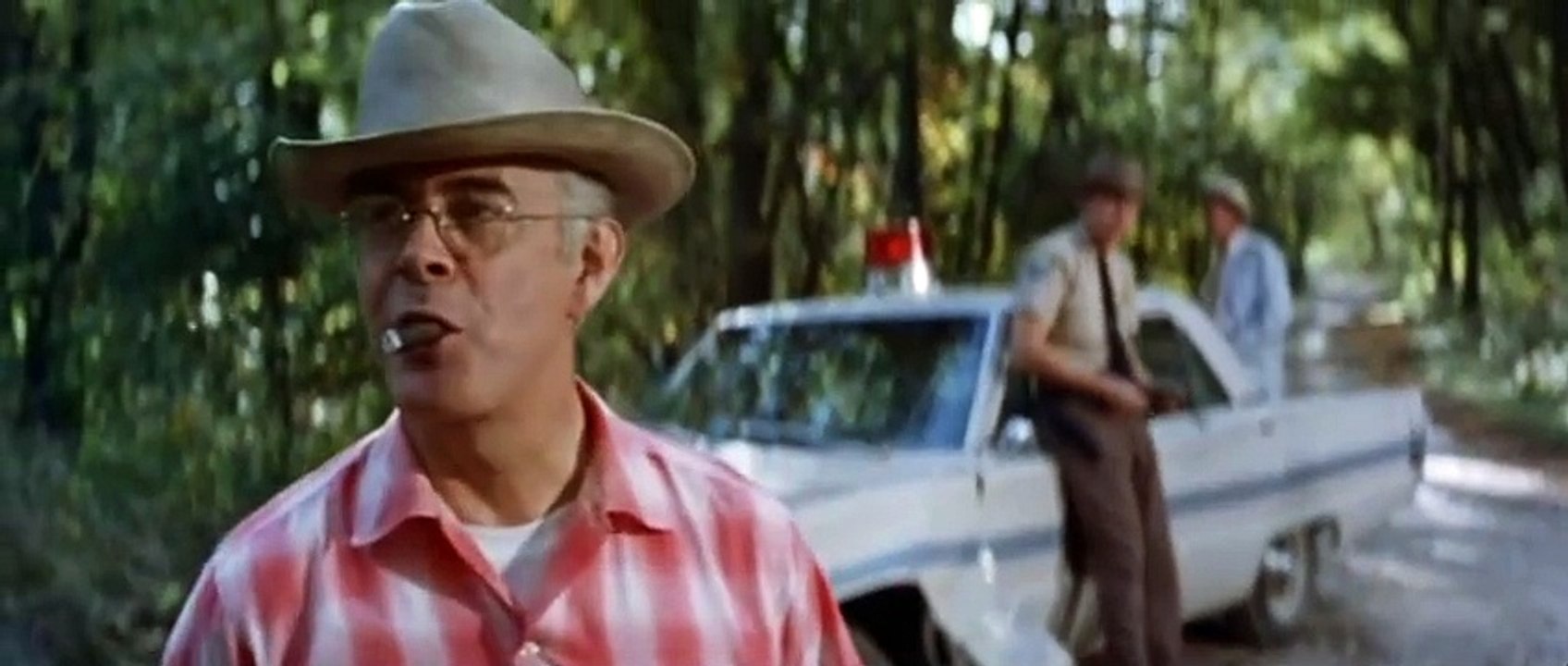 The Flim-Flam Man (Comedy 1967) George C. Scott, Sue Lyon & Harry ...