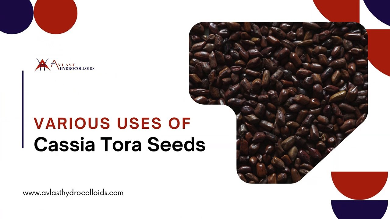 Various Uses of Cassia Seeds - video Dailymotion