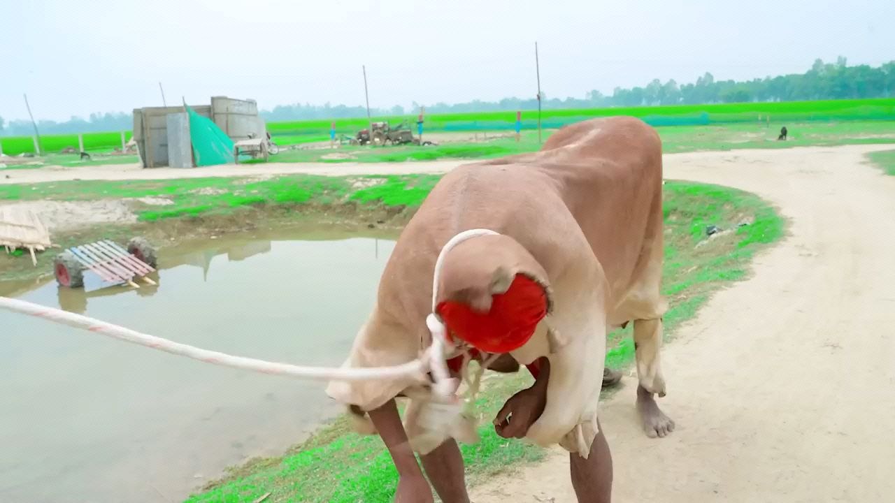 funny - video Dailymotion