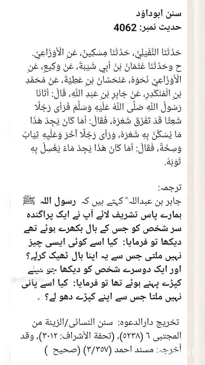 Sunnan Abu Dawood # 4062 - video Dailymotion