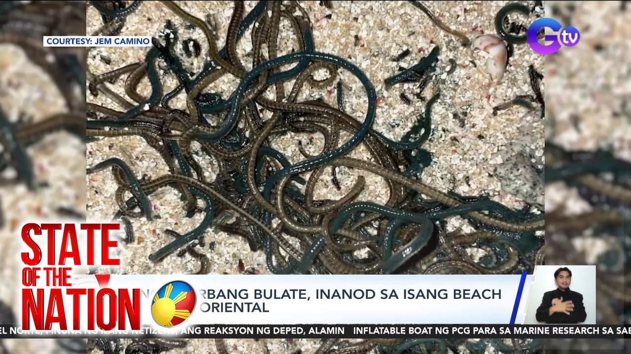 State of the Nation Part 2 & 3: Sangkaterbang bulate sa beach ...