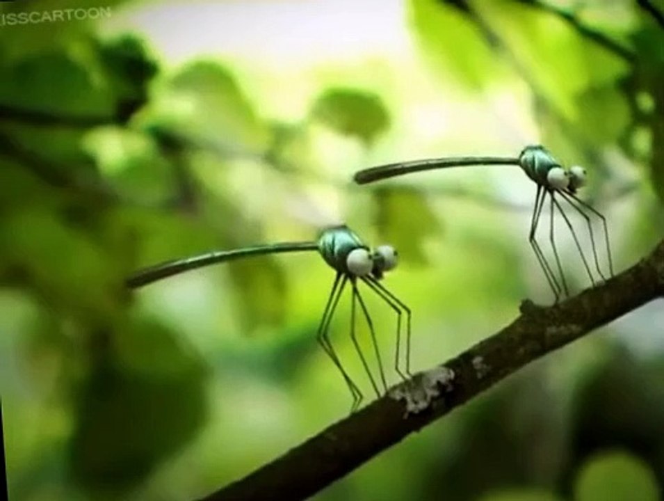 Minuscule Minuscule S02 E011 Ladybugs - Vidéo Dailymotion