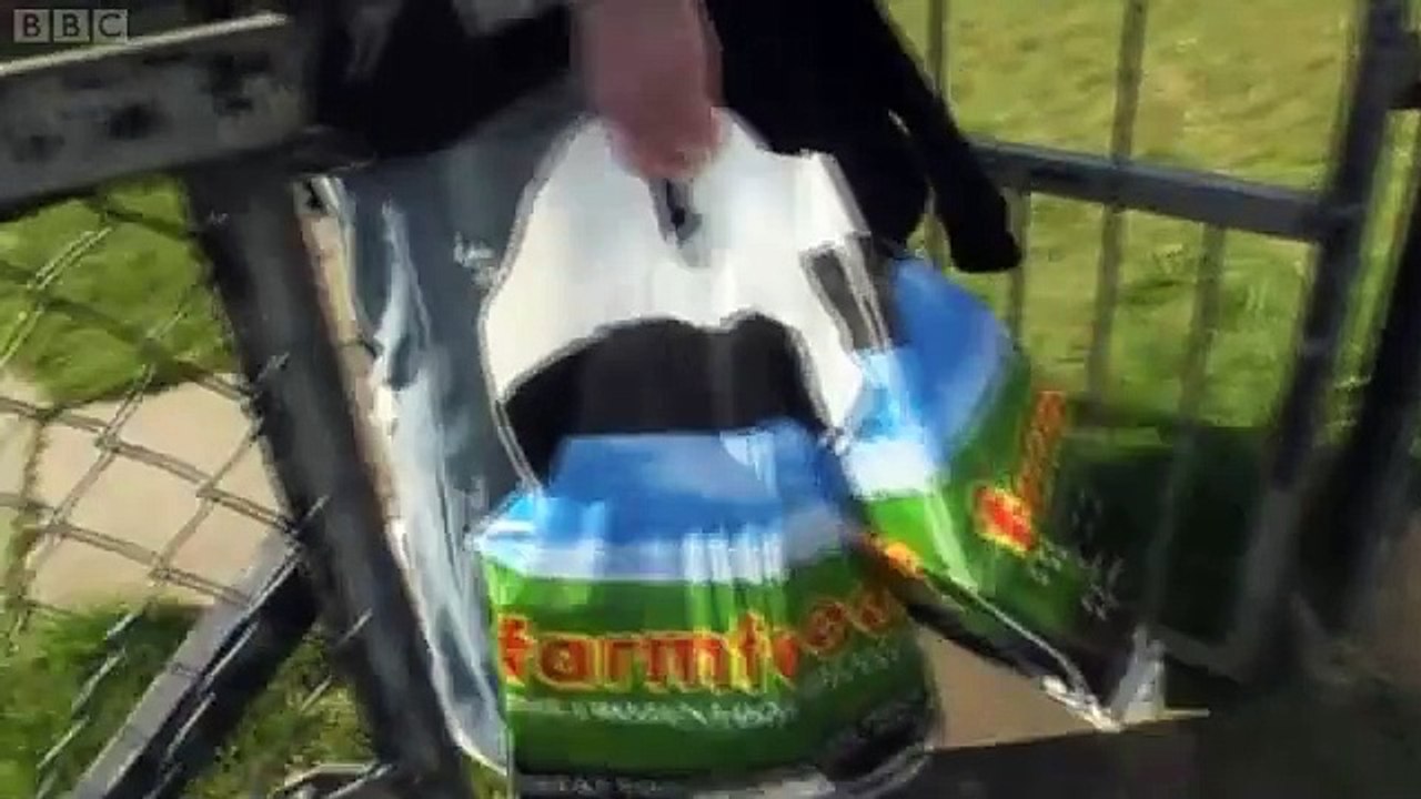 The Scheme - 101 [couchtripper] - video Dailymotion