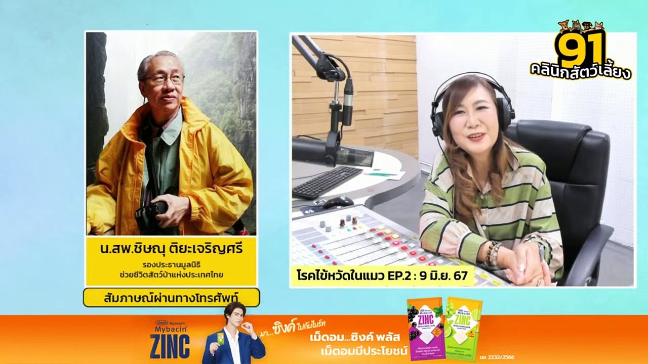 โรคไข้หวัดในแมว EP.2 : FM91 คลินิกสัตว์เลี้ยง : 9 มิถุนายน 2567 - video Dailymotion