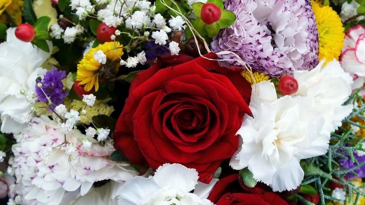 Very Beautiful Multicolour Flowers Scene - video Dailymotion