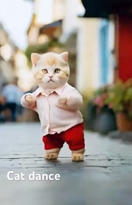 cats_dance_for_baby_#cats_#baby_#catshorts_#viralshorts__#babyshorts_# ...