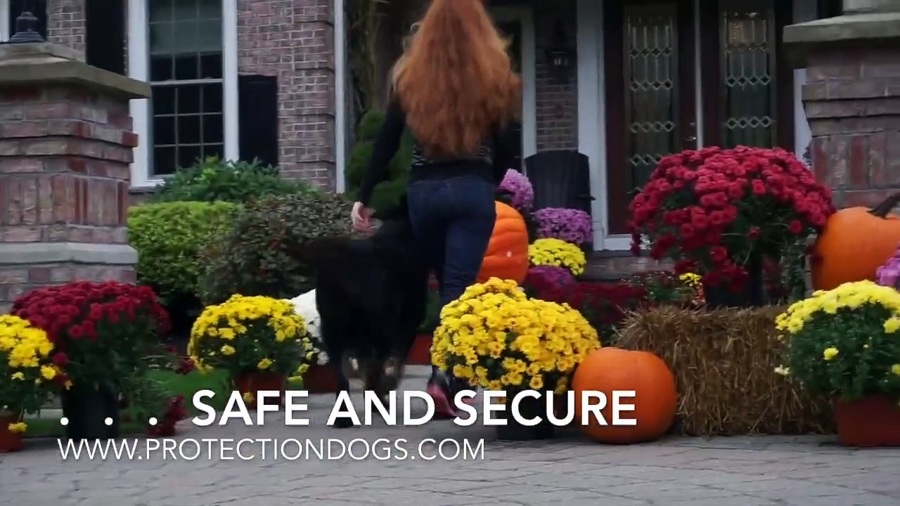 True Security The Peace of Mind Provided by CPI Protection Dogs - video ...
