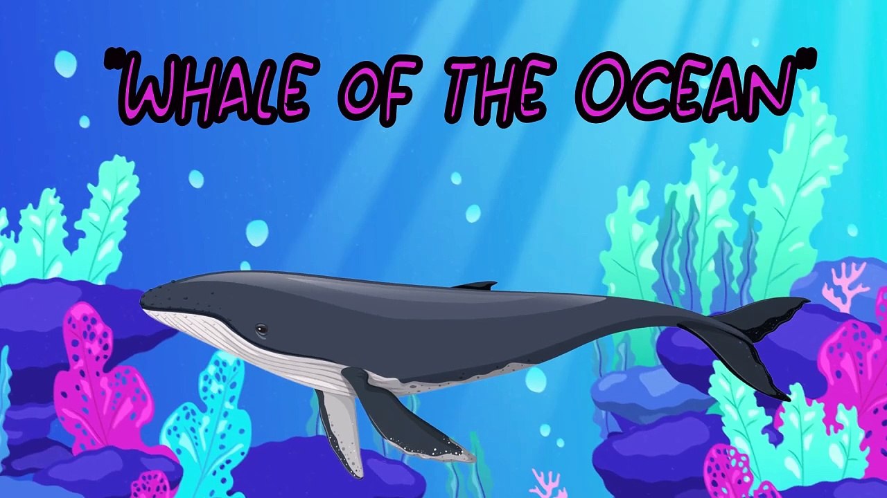 "Whale of the Ocean" |fish sonng|life under water|toddler learning ...