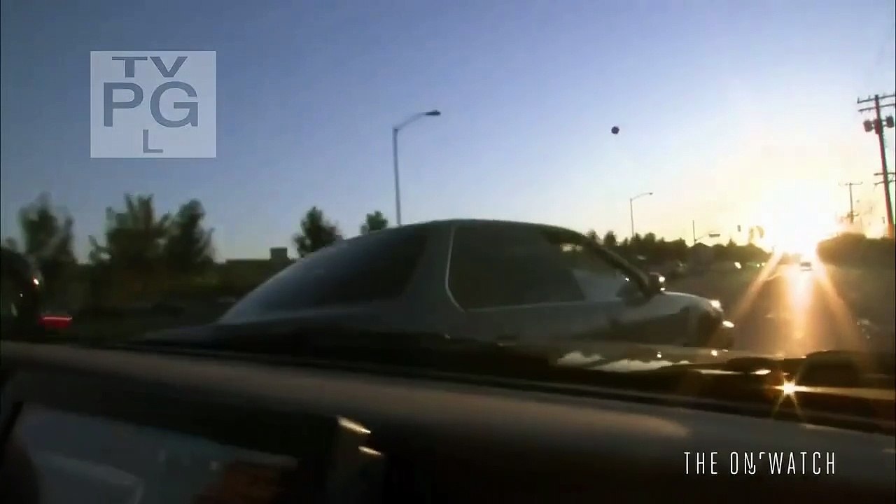 Cops S29 zebra intro - video Dailymotion