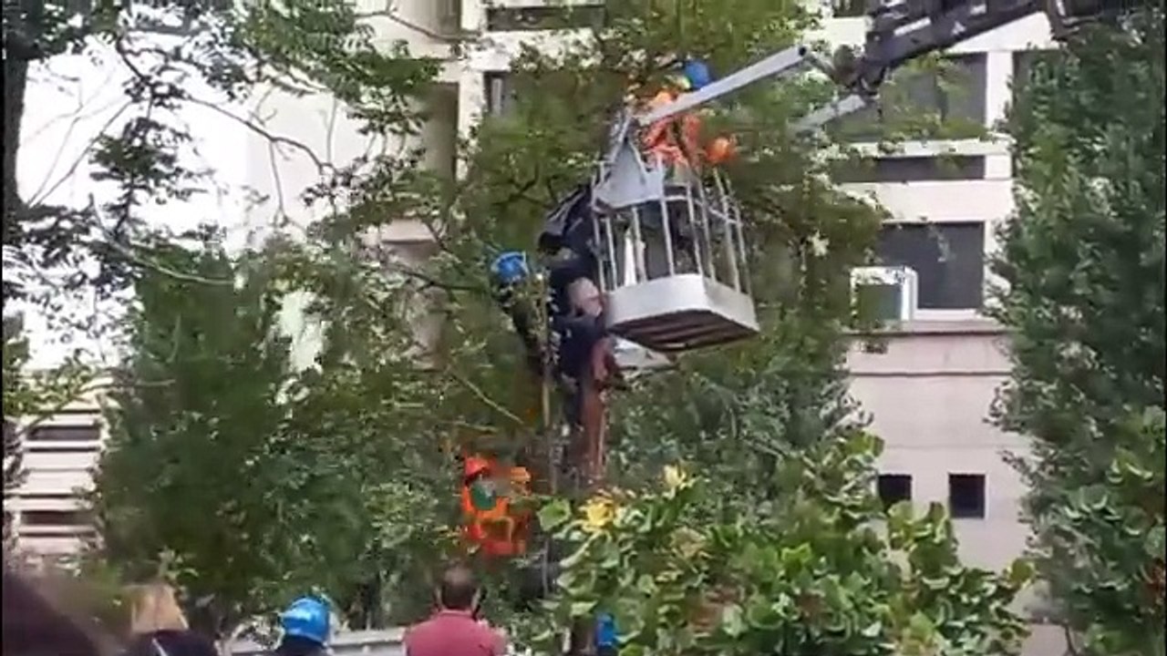 Il video delle proteste al parco Don Bosco di Bologna: gli attivisti ...