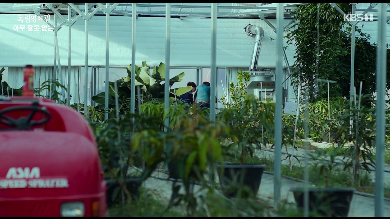 [KBS1] 독립영화관.240621. - 동영상 Dailymotion