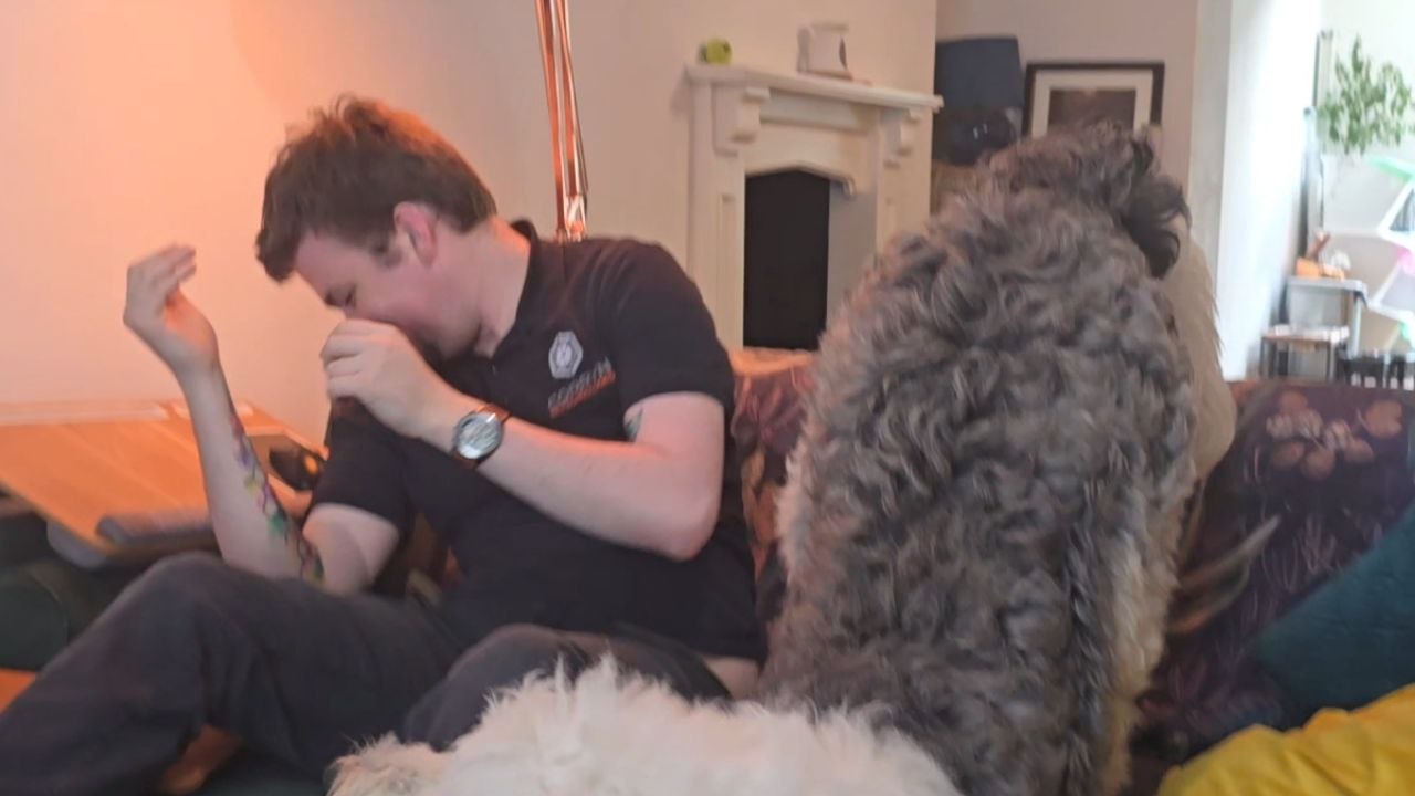 Sniffing out trouble: Sheepdog gives dad a sniff he won't forget ...