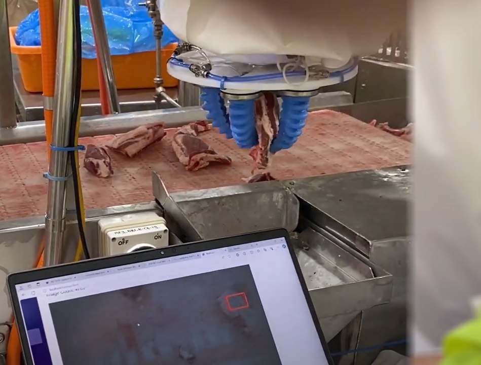 Robotic arms help with meat processing | Farmonline - video Dailymotion