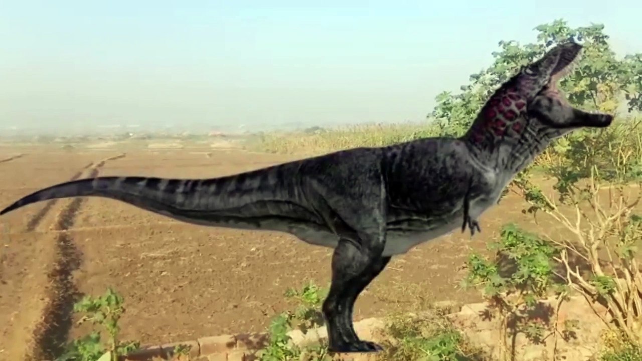 dinosaur t Roxy dinosaur dinosaurs roxy dinosaur battle best roxy dinosaurs big video t roxy ...