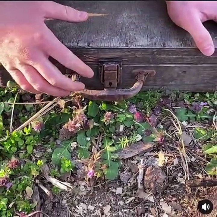 Found treasure chest - video Dailymotion