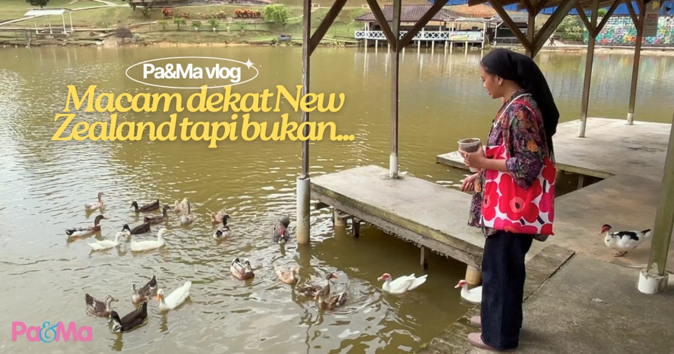 Tempat Masuk Percuma Ada "Mini Zoo" Macam dekat New Zealand - Video ...