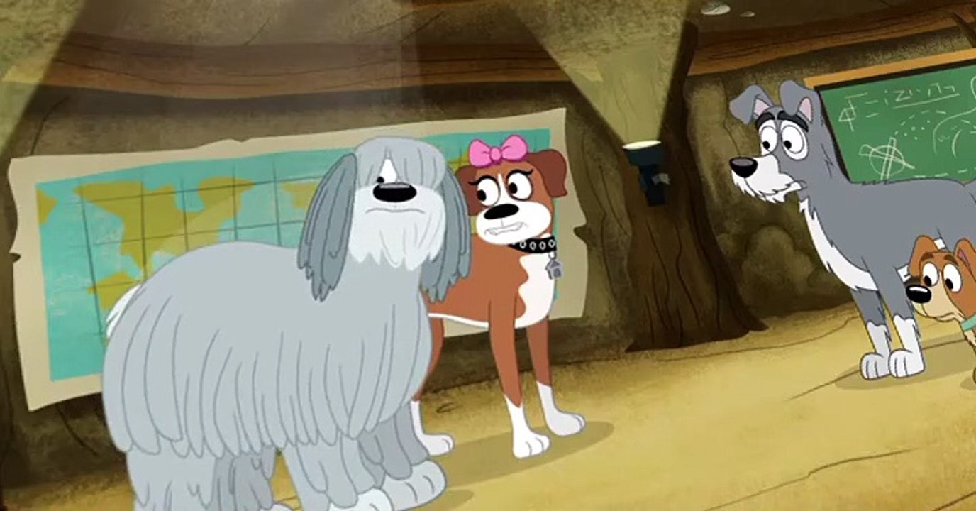 Pound Puppies 2010 Pound Puppies 2010 S01 E021 I Never Barked for My ...