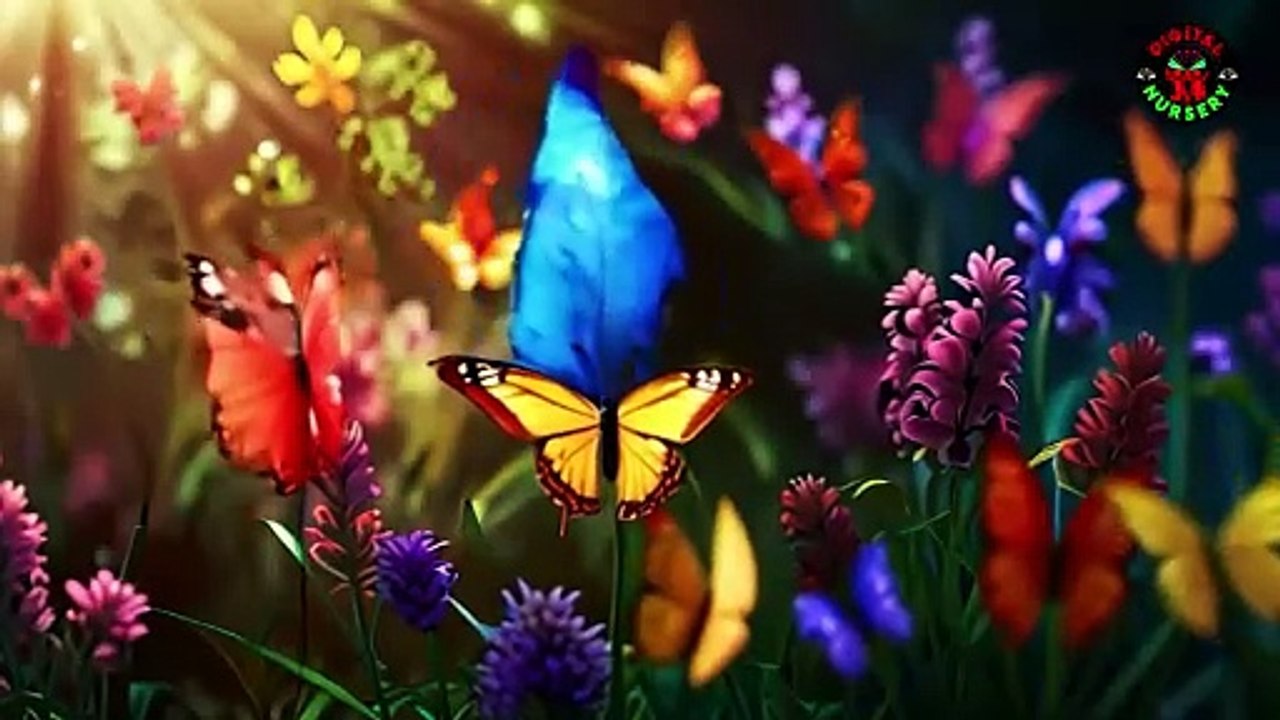 ABC - video Dailymotion