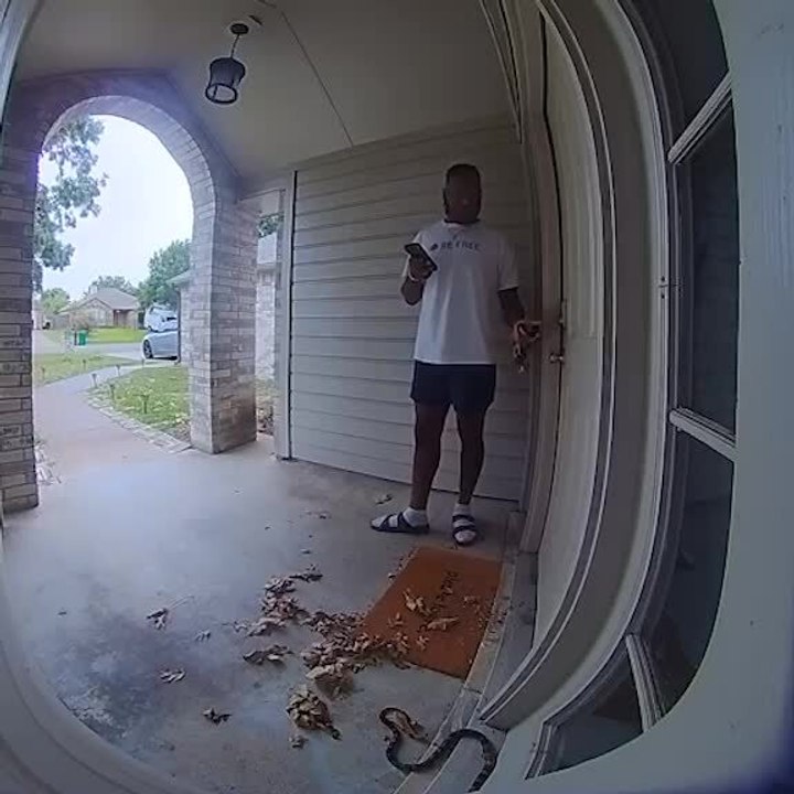 Guy Freaks Out After Spotting Snake Right Outside His House - video ... Guy Freaks Out After Spotting Snake Right Outside His House - video ...