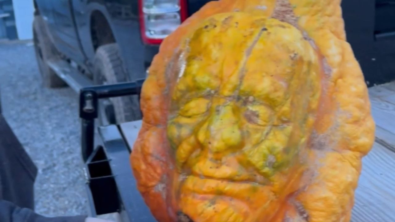 Jaw-dropping monster face etched on Hubbard Squash ahead of Halloween ...