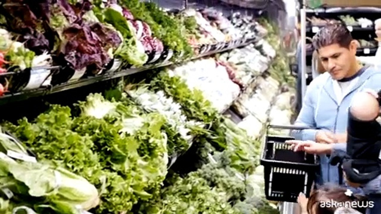 Cibo buono e giusto, da Slow Food 10 proposte per il G7 Agricoltura ...