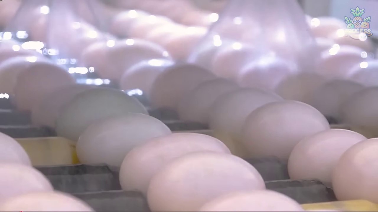 How Mooncakes Are Made in Factory ｜ Mooncake Factory Process - video ...