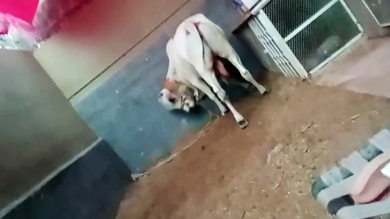 video_20240530_192656 - video Dailymotion