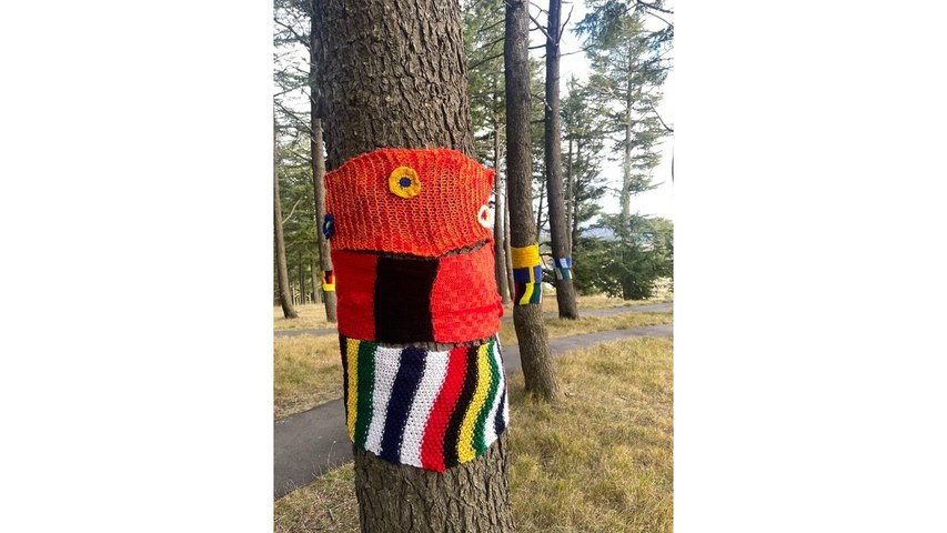 Warm Trees are back at the arboretum - with a focus on Chile | The ...