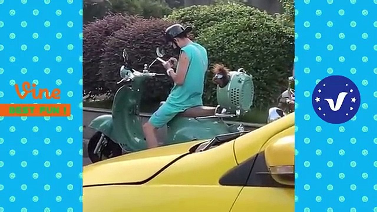 AWW_New_Funny_Videos_2024__Cutest_People_Doing_Funny_Things__Part_19 ...