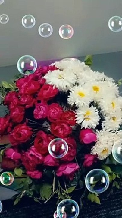 beautiful rose flower - video Dailymotion