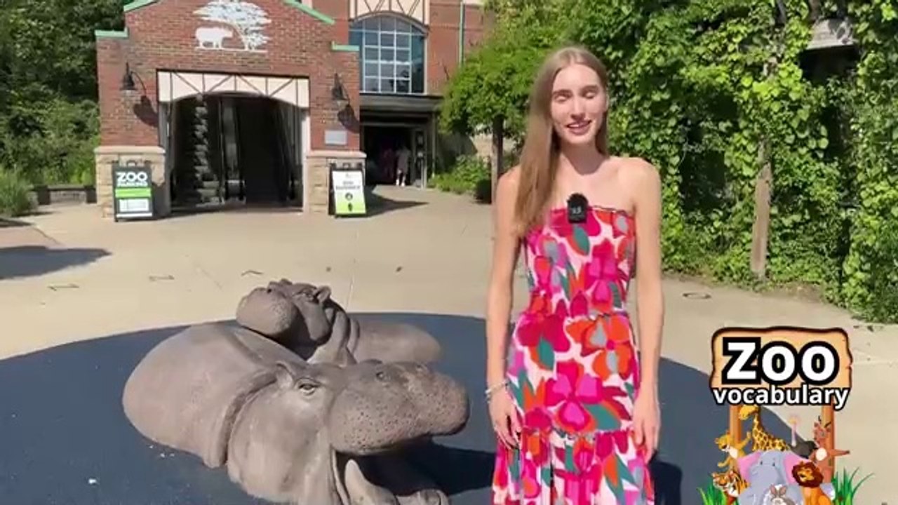 Zoo - video Dailymotion