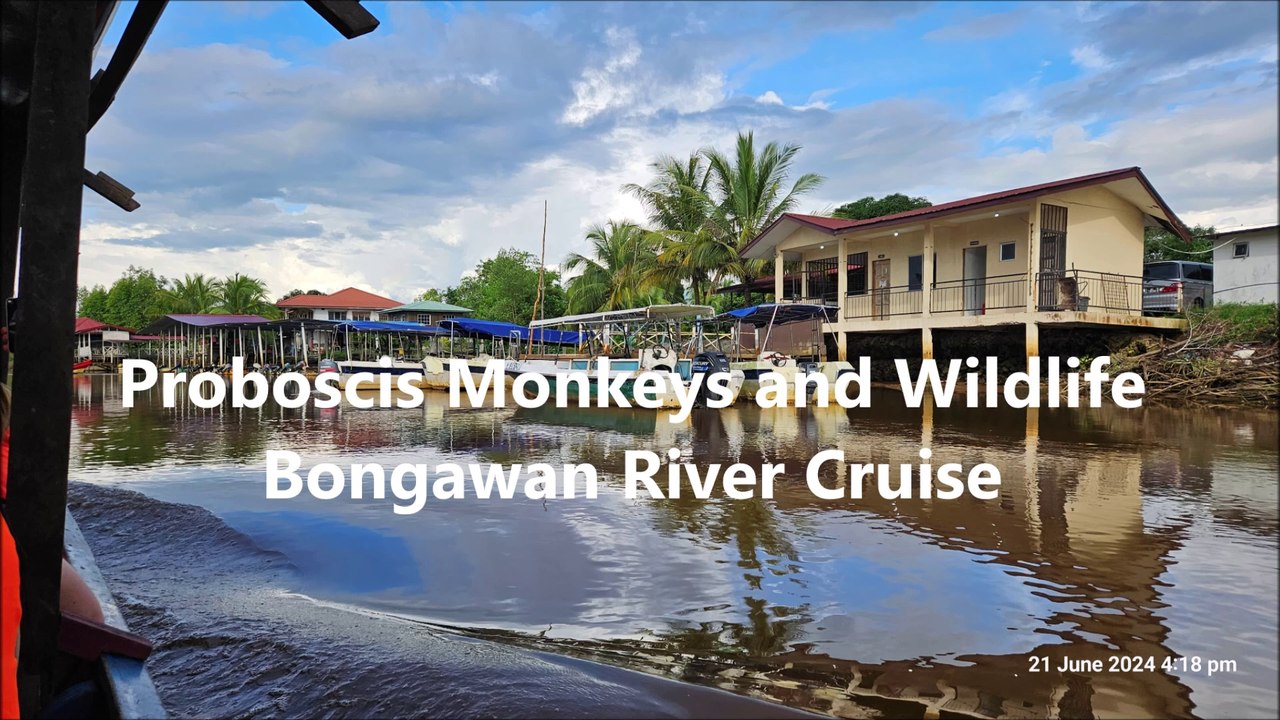 Proboscis Monkeys and Wildlife Bongawan River Cruise - Kota Kinabalu ...